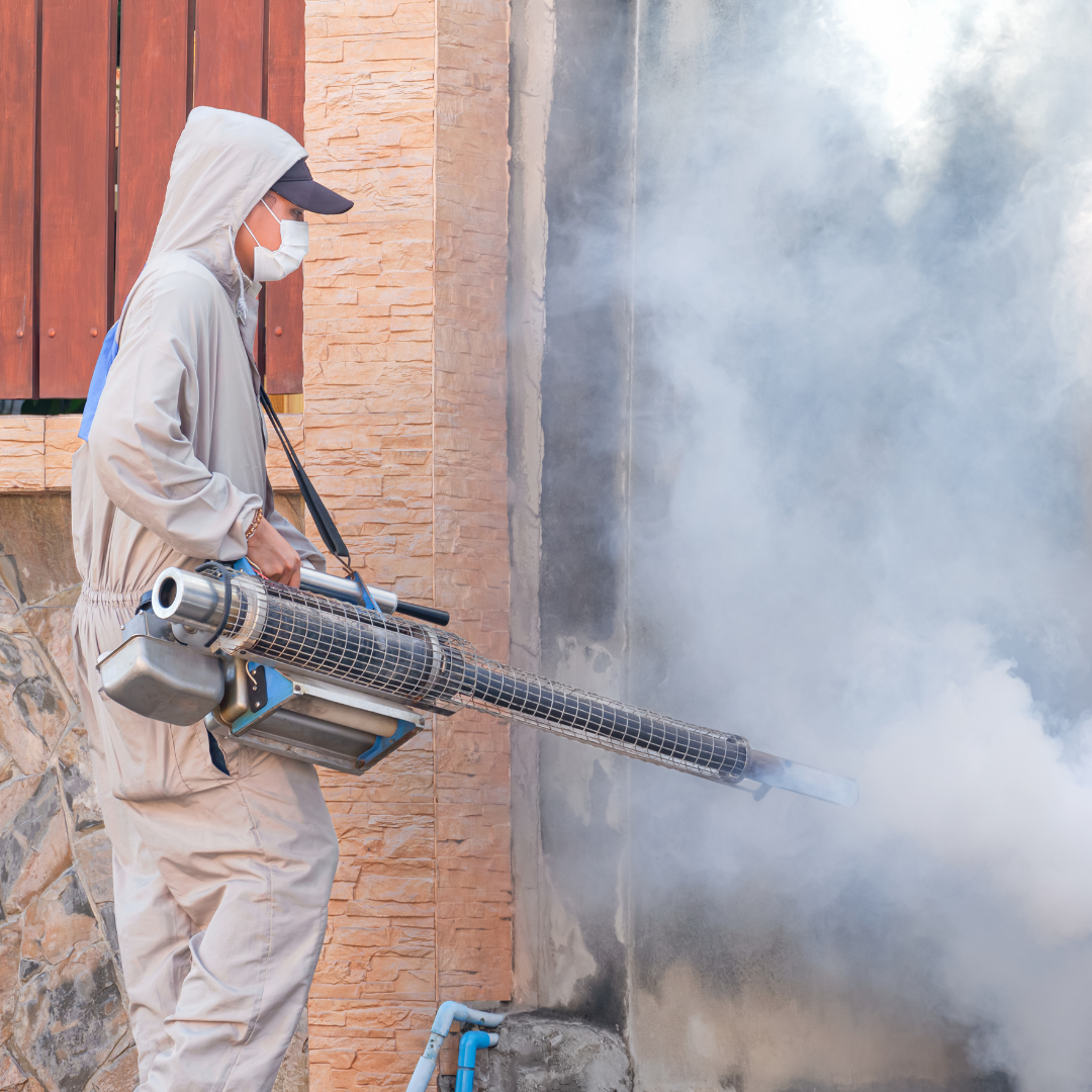 The Science Behind Smoke Odor Removal - Coronavirus / COVID-19 ...